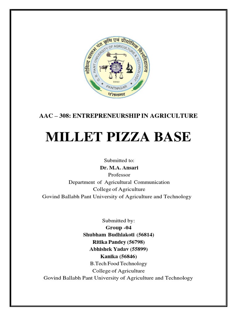 Millet Based Pizza Base Group-4 | Download Free PDF | Breads | Dough