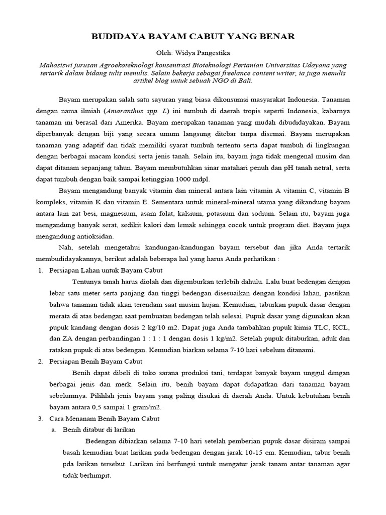 Panduan Budidaya Bayam Cabut | PDF