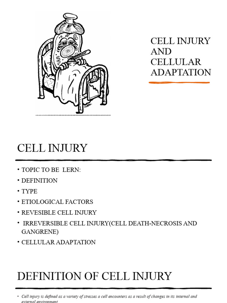 Cell Injury and Cellular Adaption | PDF