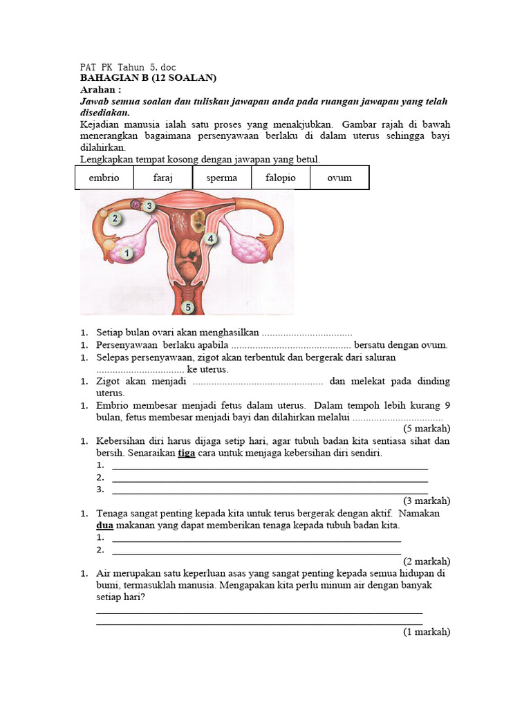 PAT PK Tahun 5 | PDF