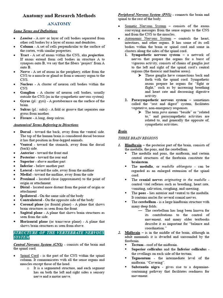Summary Notes For Anatomy and Research Methods | PDF