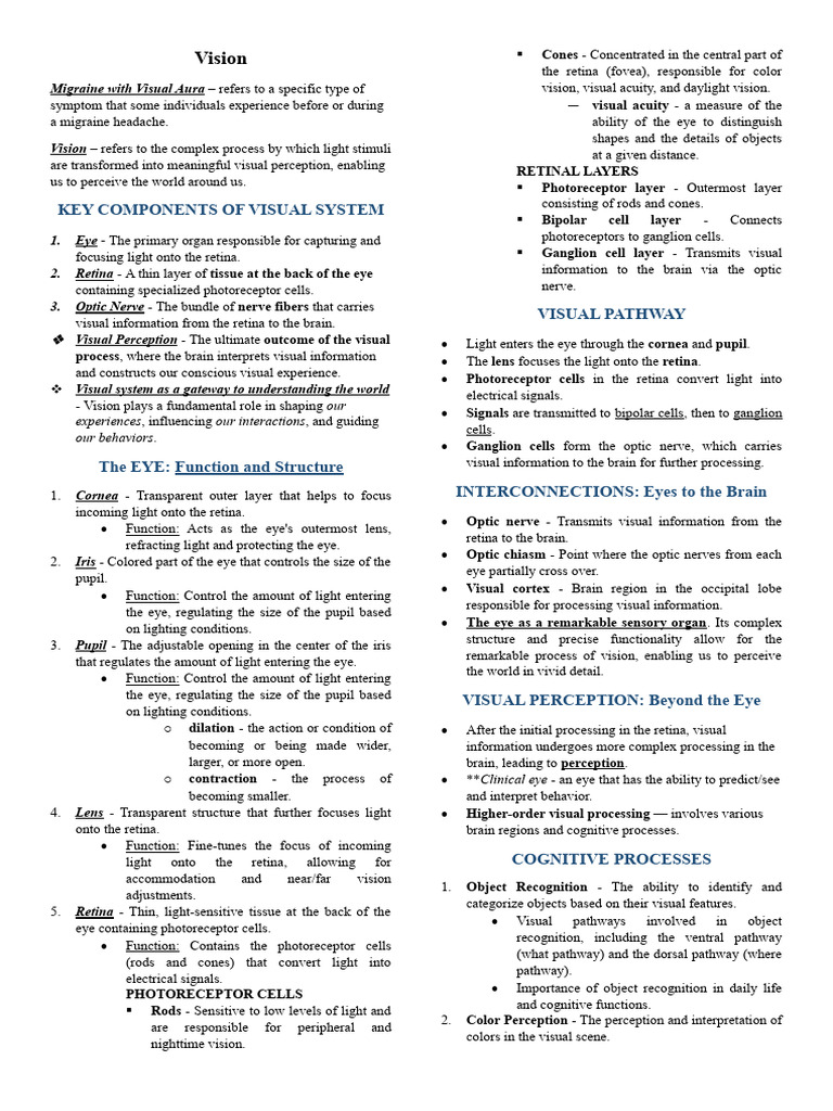 Summary Notes For Vision | PDF