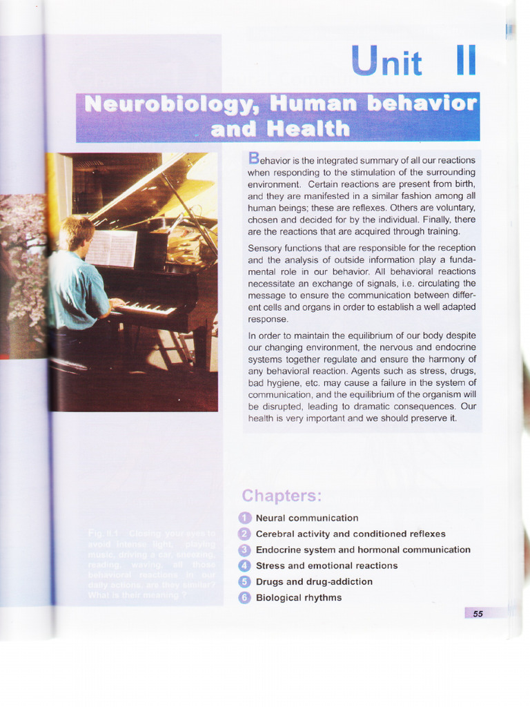 Grade 12 SE Book | PDF