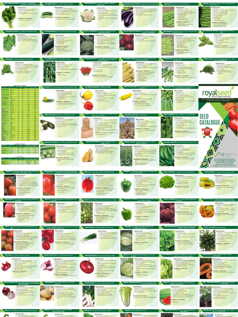 Kenya Highland Seed Catalogue - KHS SEED CATALOGUE | PDF | Legume ...