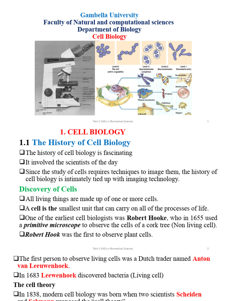 Cell Biology | PDF | Cell Membrane | Endoplasmic Reticulum