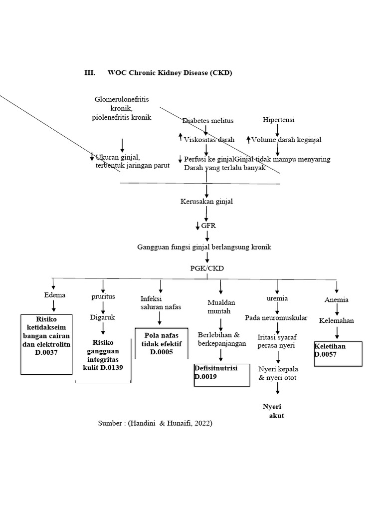 WOC CKD Anemia | PDF