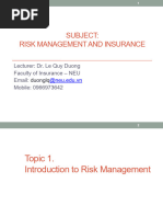 Principles of Sensible Risk Management | PDF