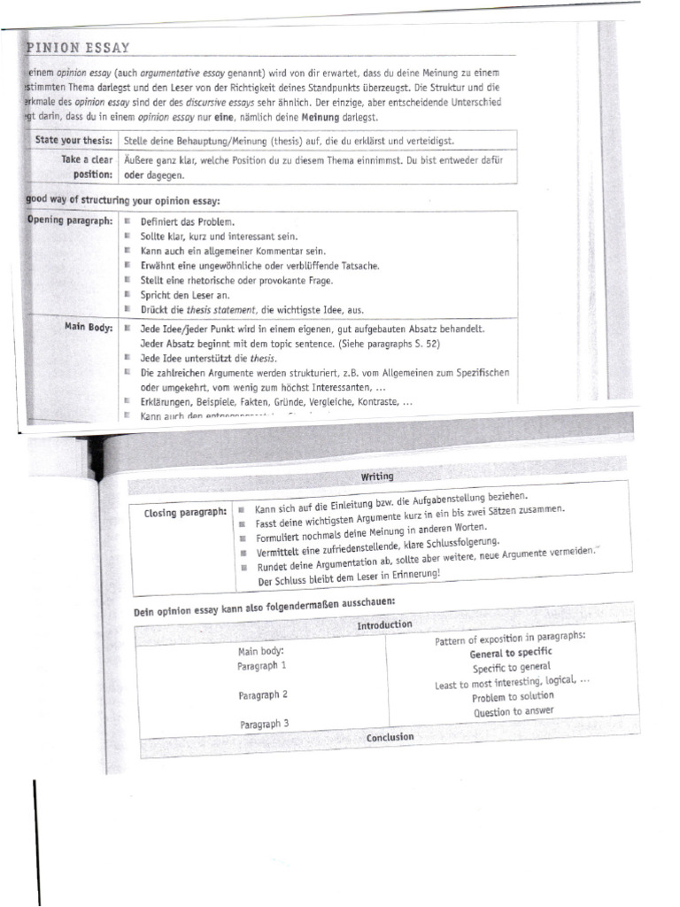 Useful Words and Phrases - Essay | PDF