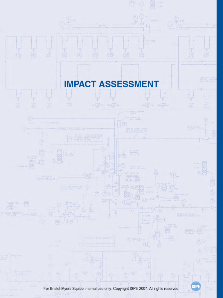 Impact Assessment | PDF