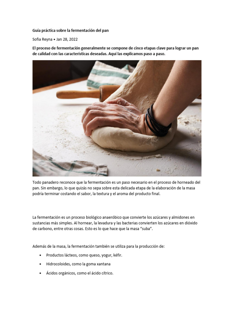Guía Práctica Sobre La Fermentación Del Pan | PDF | Panes | Fermentación
