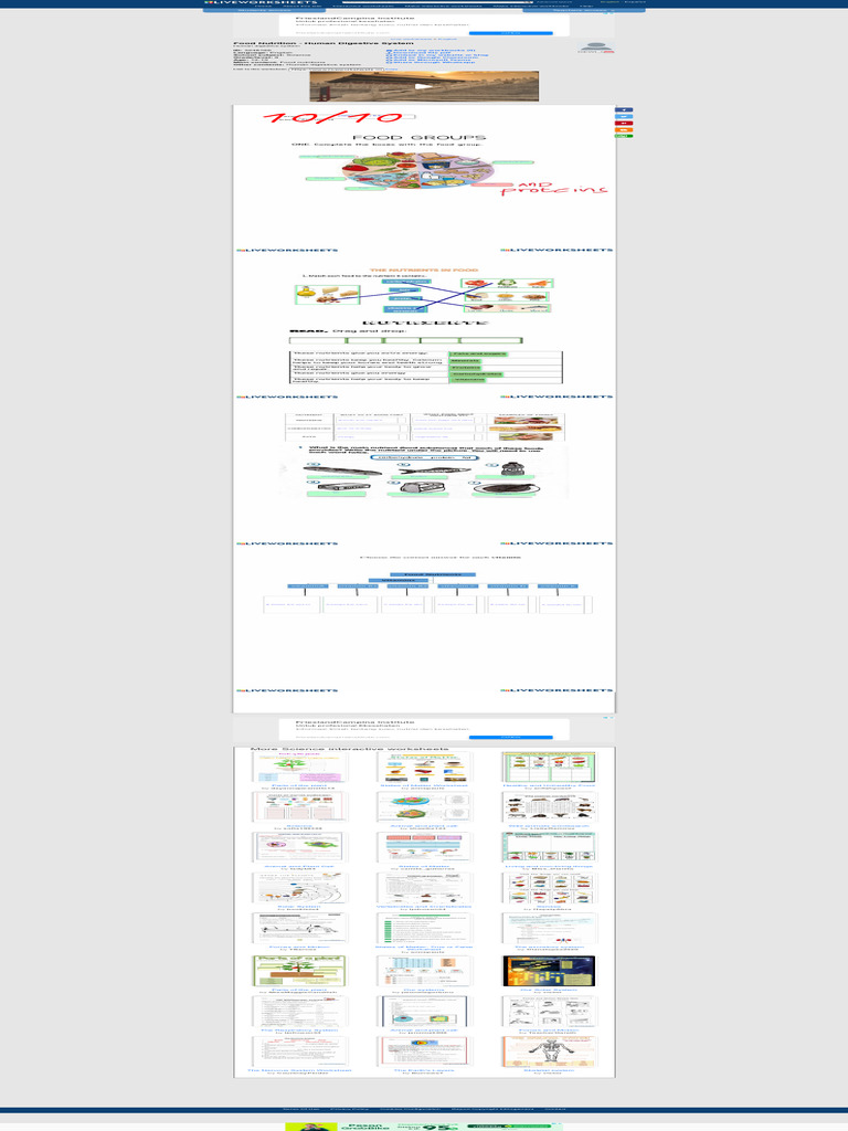 Food Nutrition - Human Digestive System Worksheet | PDF | Foods | Nutrition
