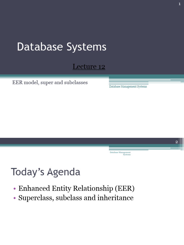 EER Model, Super and Subclasses | PDF | Inheritance (Object Oriented Programming) | Databases
