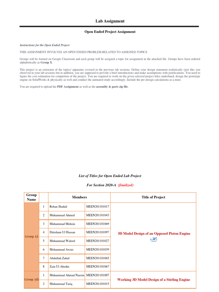 Open Ended Project Allocation - Instructions | PDF