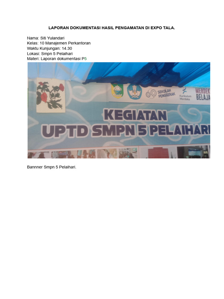Laporan Pengamatan Expo | PDF