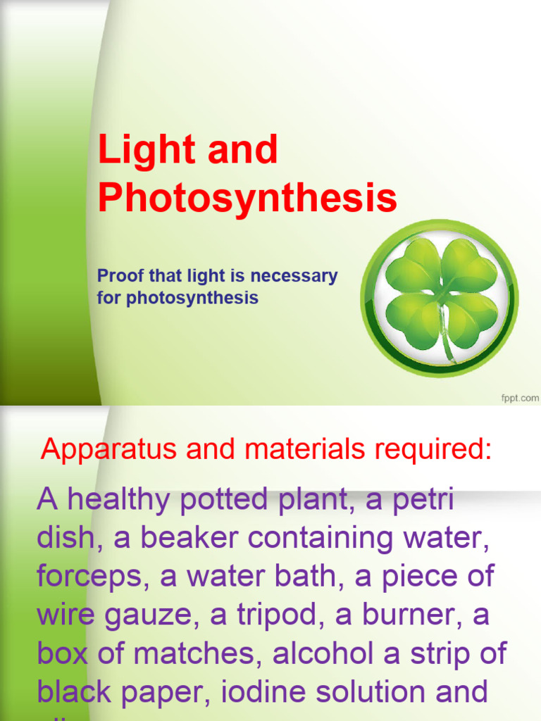 2023 Checkpoint Experiment-Light and Photosynthesis | PDF
