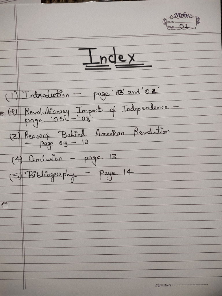 HISTORY OF USA, Aditi Gupta 232403 | PDF