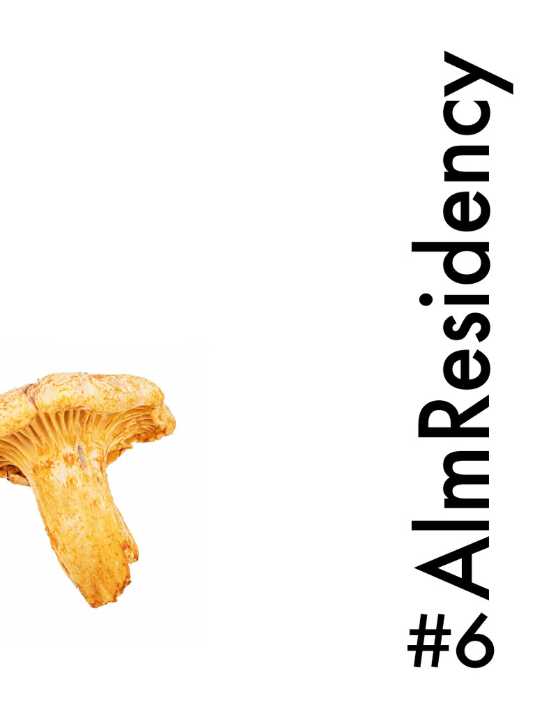 Alm Broschuere2021 Test8 Pdf