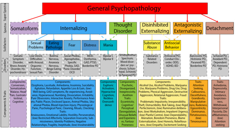 HiTOP 3-22-18 CORRECTED | PDF | Mental Disorder | Borderline ...
