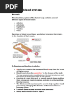 Stamm Gastrostomy Procedure Guide | PDF | Surgical Suture | Medicine