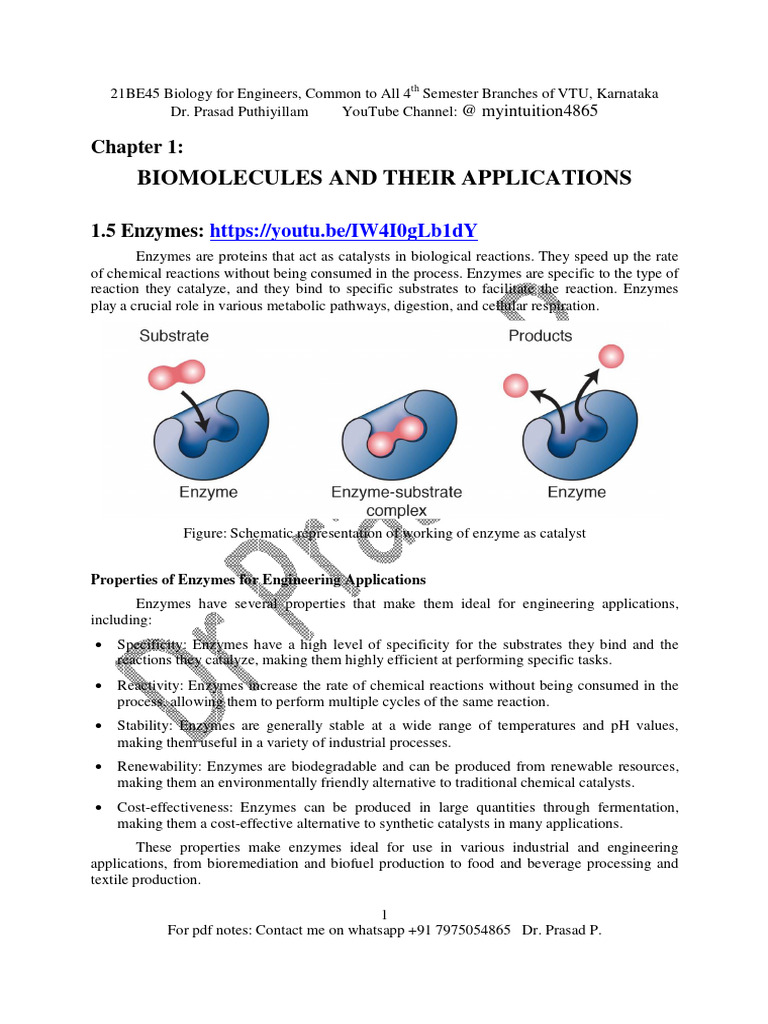 1.5 Enzymes, Biology For Engineers | PDF | Biosensor | Enzyme