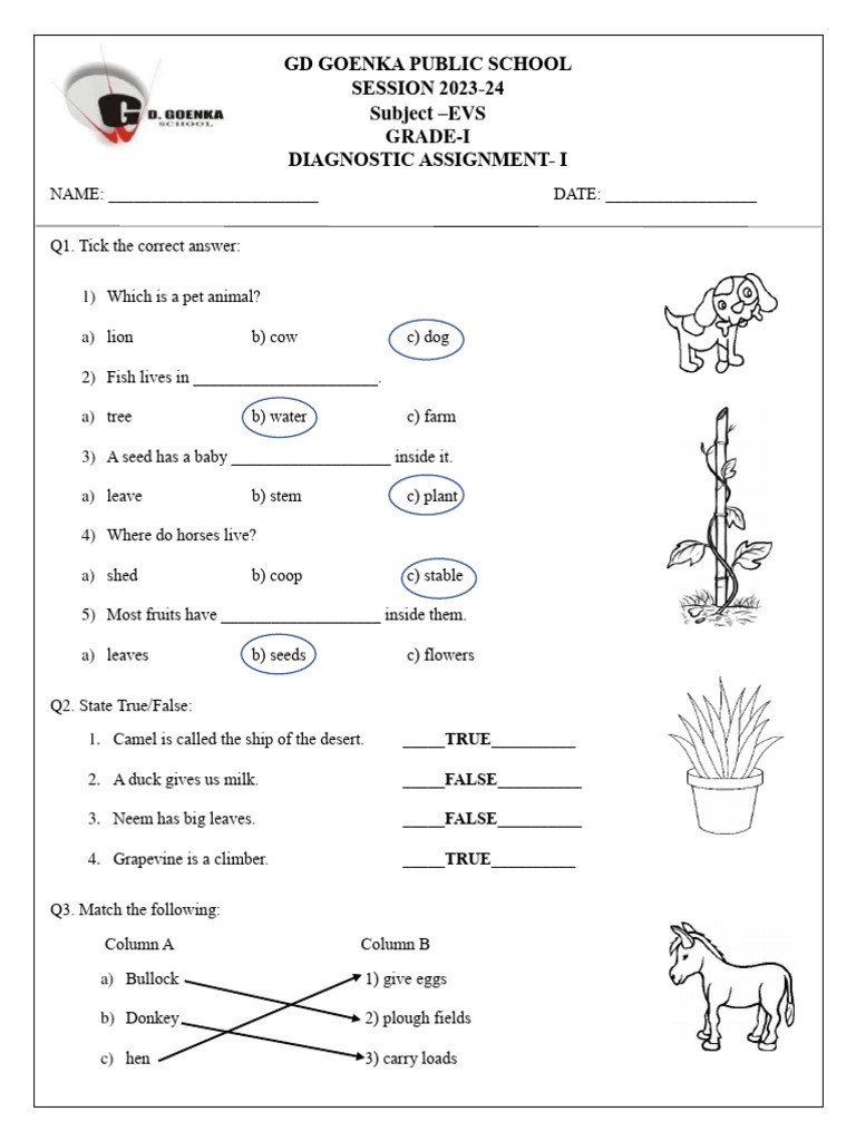 Grade 1 Diagnostic Assignment-1 ANSWER KEY | PDF | Organisms | Botany