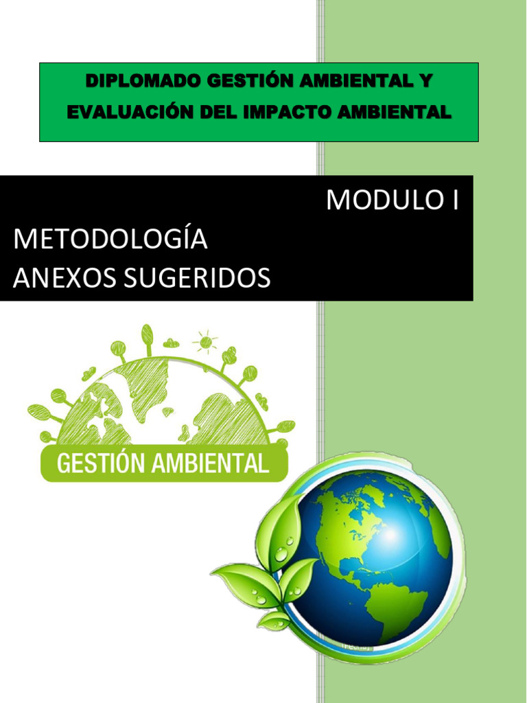 Modulo I - Metodología y Anexos Sugerido | PDF
