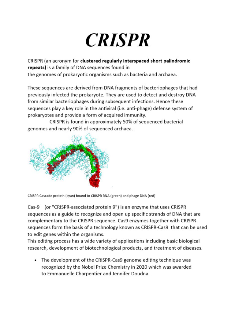 Bo - Project - Otyrdgfchvjk (1) Bio Project 12 | PDF | Crispr | Nucleic Acids