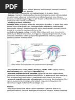 Nicienie Notatka | PDF