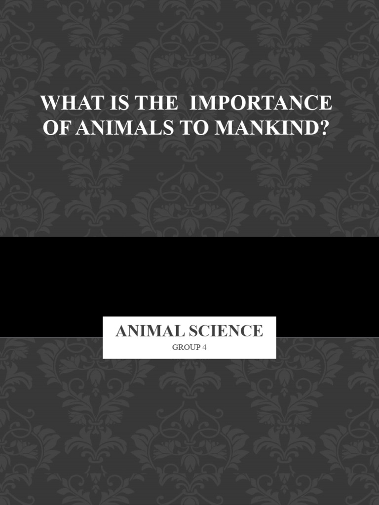 Animal Science g4 | PDF | Poultry | Chicken
