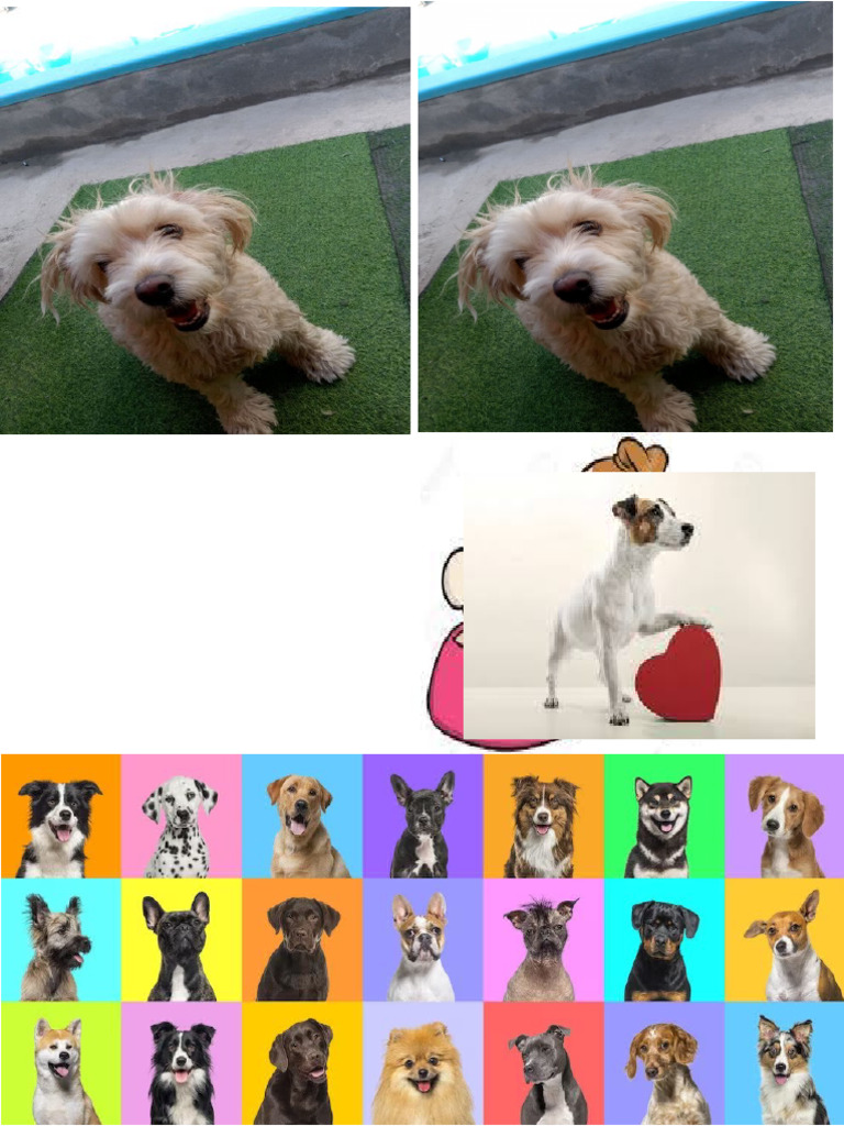 Descarga de Perros | PDF