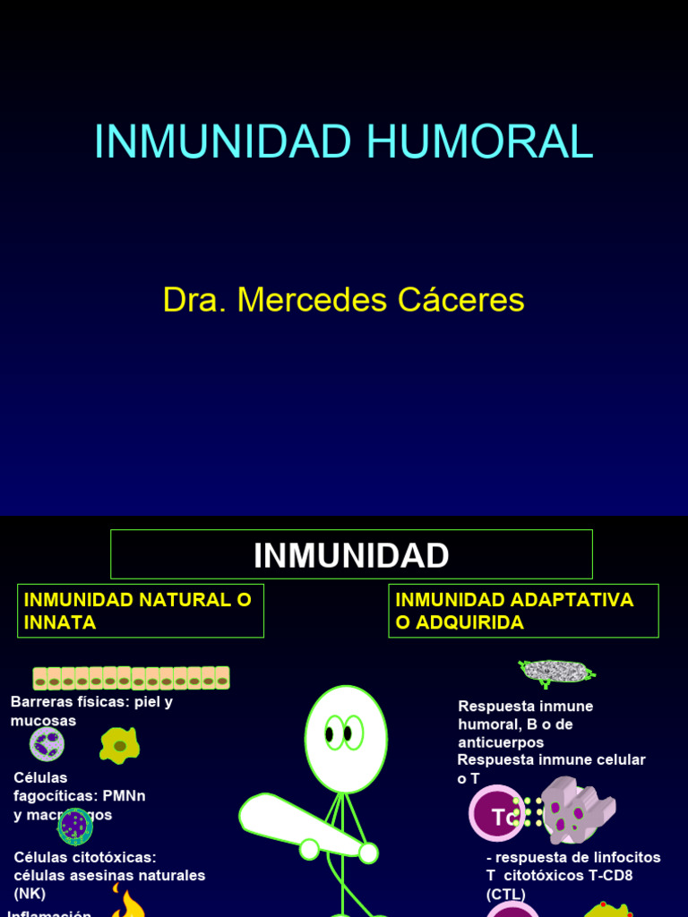 Inmunidad Humoral | PDF
