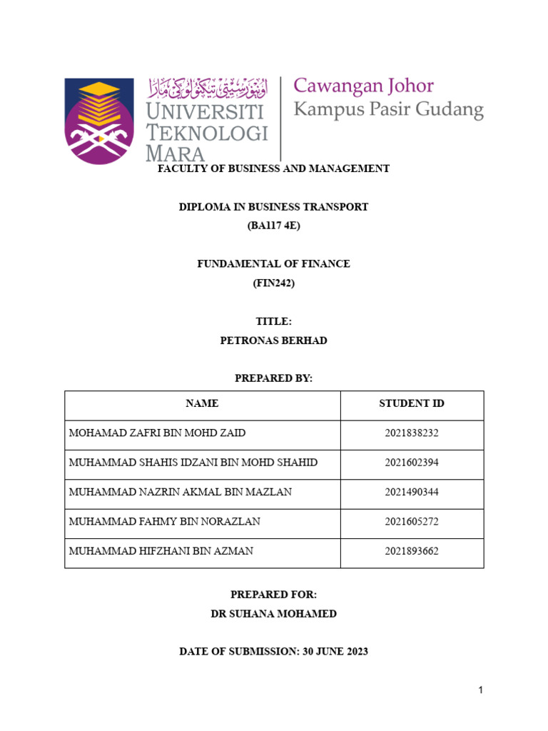 Fin 242 - Group Assignment Report | PDF