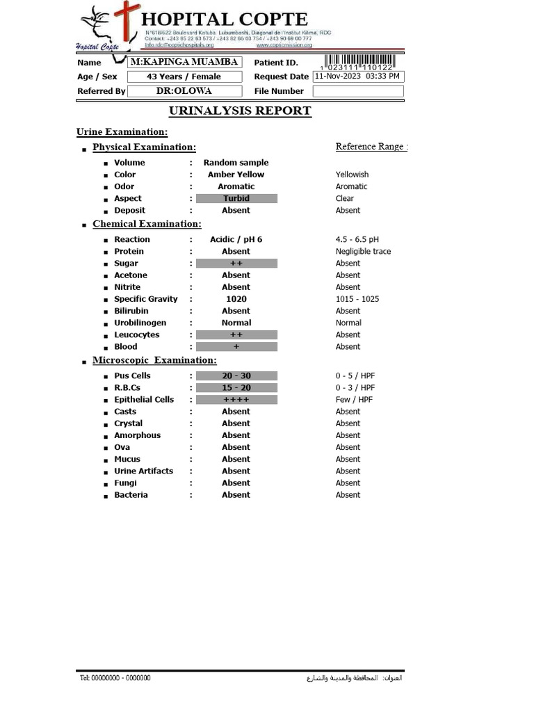 Urinalysis Report: Pus Cells 15-30 HPF | PDF | Clinical Medicine ...