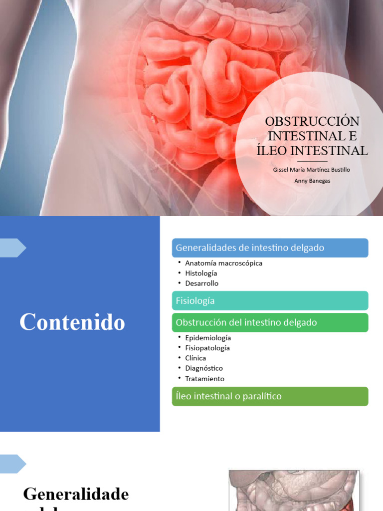 OBSTRUCCIÓN INTESTINAL E ÍLEO INTESTINAL (Final) | PDF