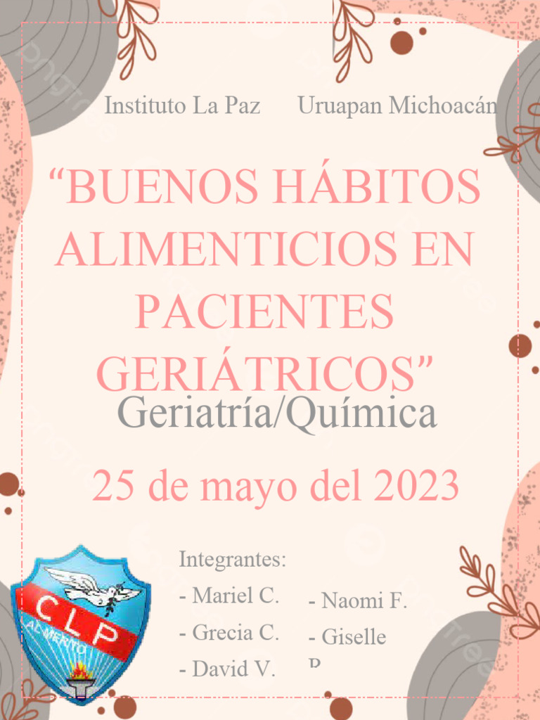 Platillos Del Proyecto | PDF