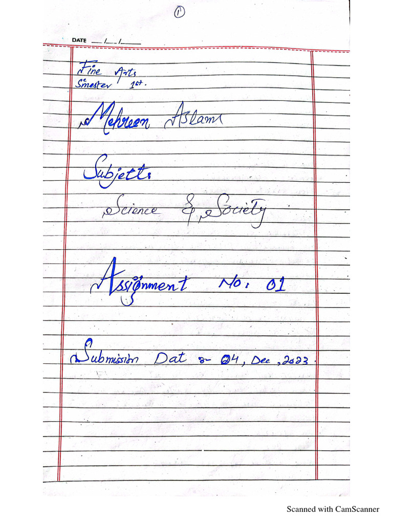 Mehreen Aslam BFA 1st Semester | PDF