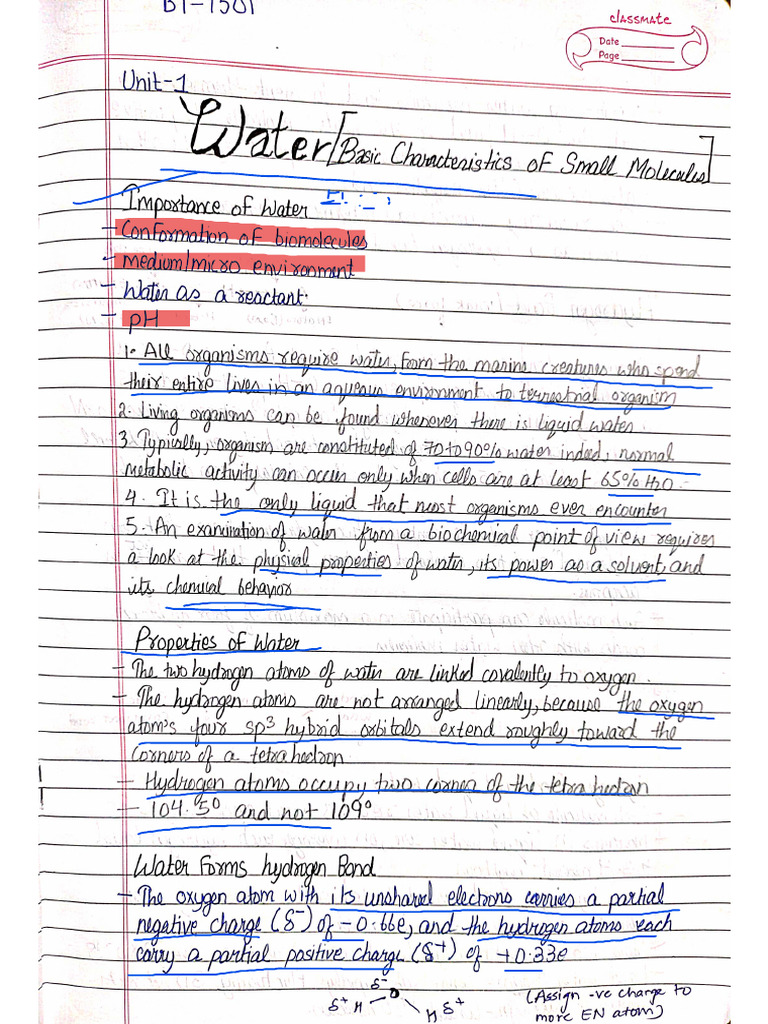 Water Chapter Notes | PDF