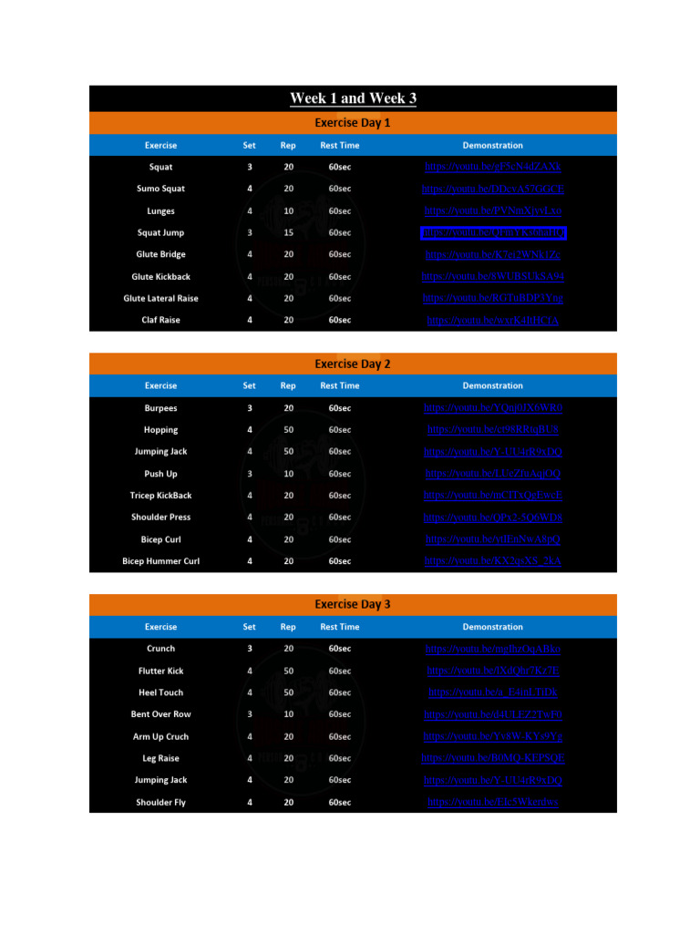 Max Effect Home Program | PDF