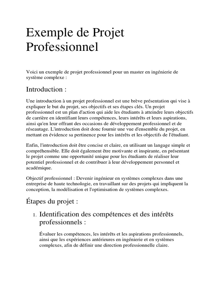 Exemple de Projet Professionnel | PDF