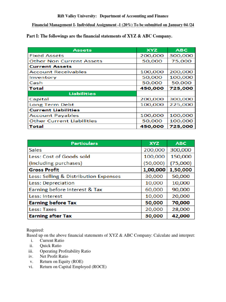 FM-Individual Assignment 1 | PDF