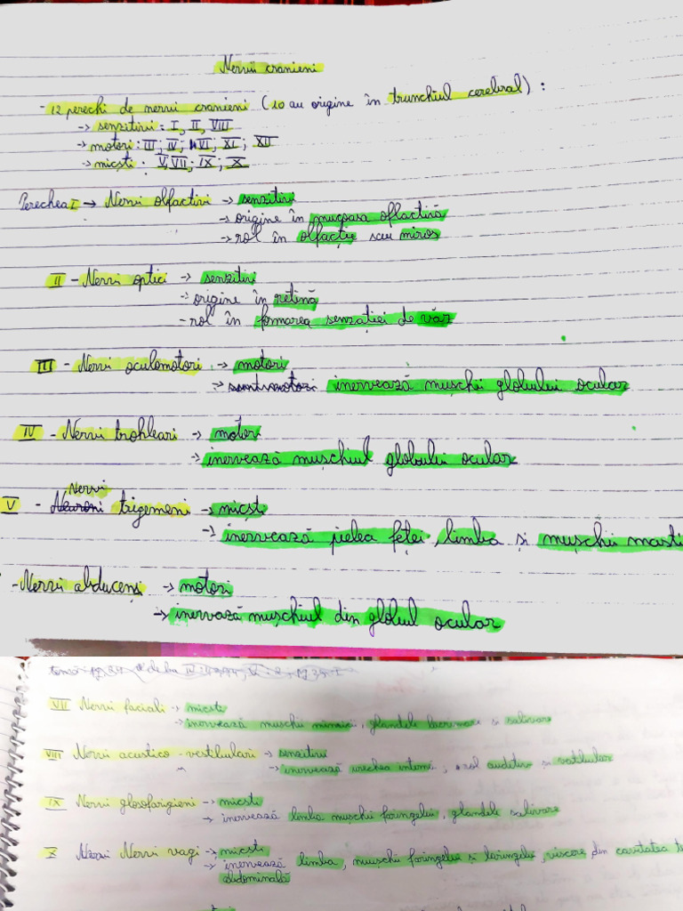 Nervii Cranieni | PDF