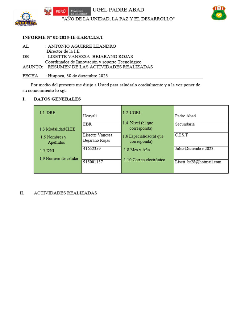 Informe Final de Cist | PDF