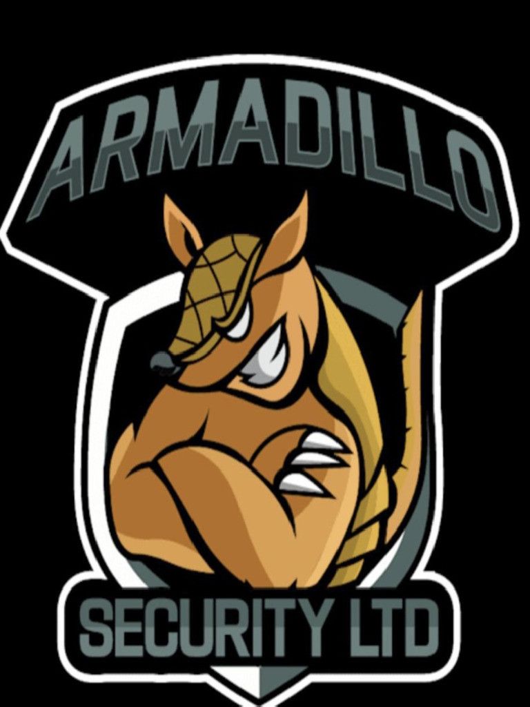 Armadillo Security | PDF