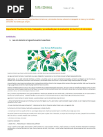 Cuento Capibara Coco | PDF