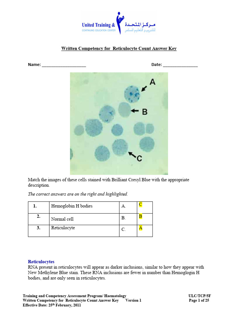 (Answer Key) Written Competency Reticulocytes | PDF | Anemia | Red ...