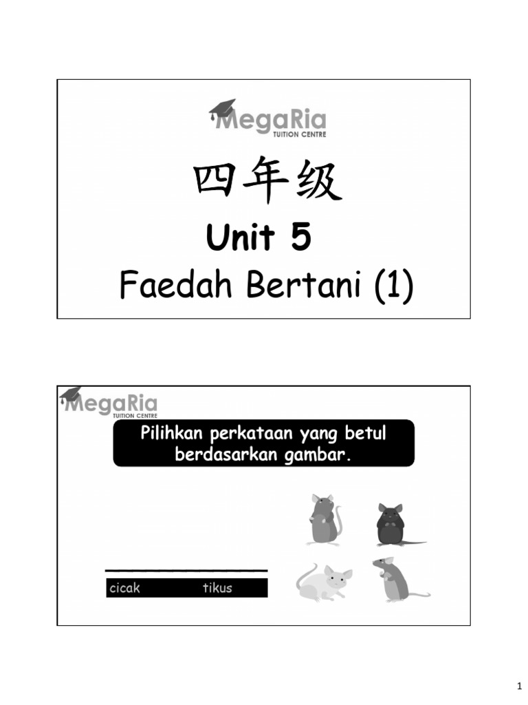 Unit 5.1 & 5.2 Bersihnya Kami - Ex - Student | PDF