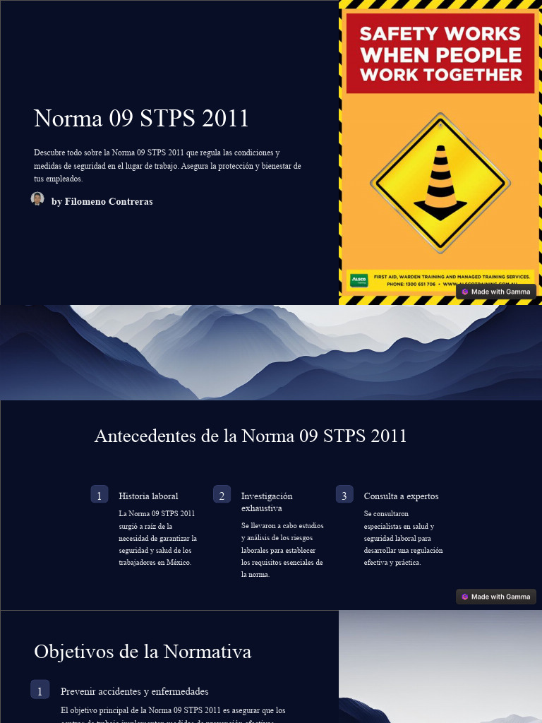 Norma 09 STPS 2011 | PDF | Informática