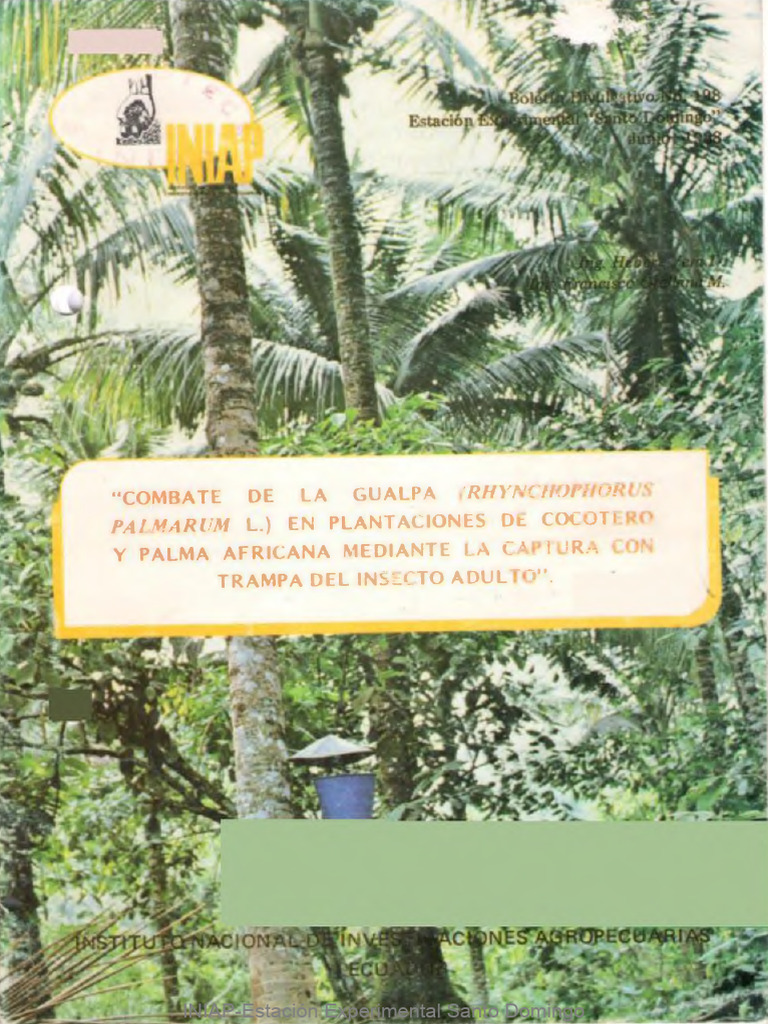 Combate de La Gualpa en Plantaciones de Cocotero y Palma Africana ...