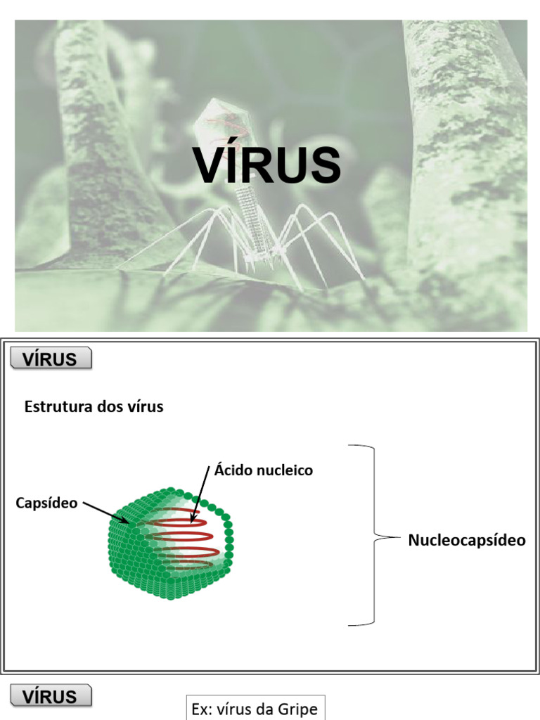 Virus | PDF