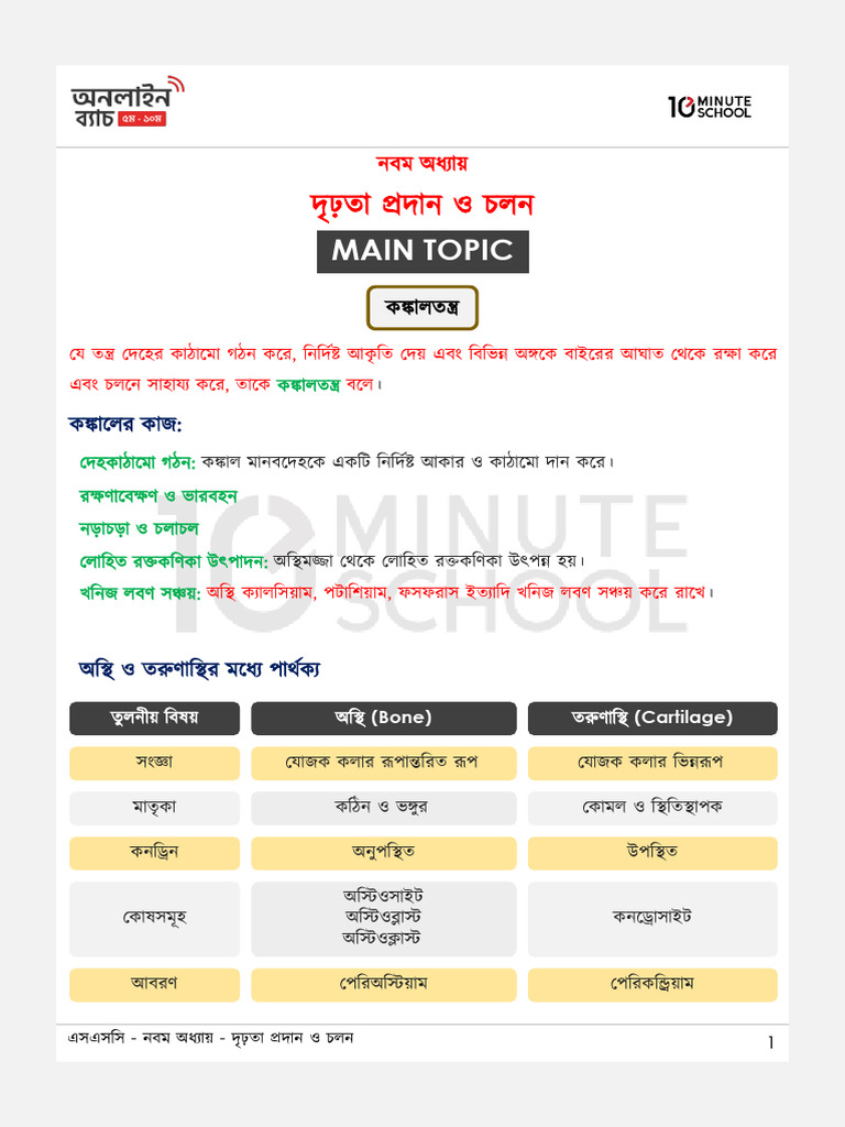 Main Topic Main Topic: (Bone) (Bone) (Cartilage) (Cartilage) | PDF
